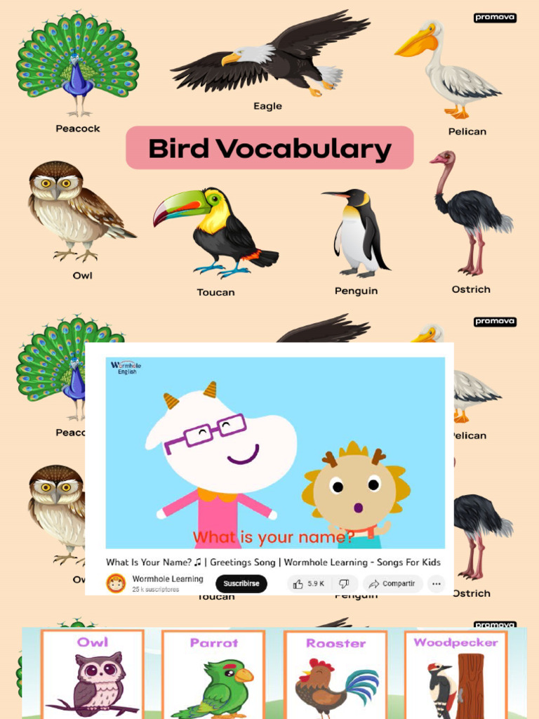 Birds | PDF