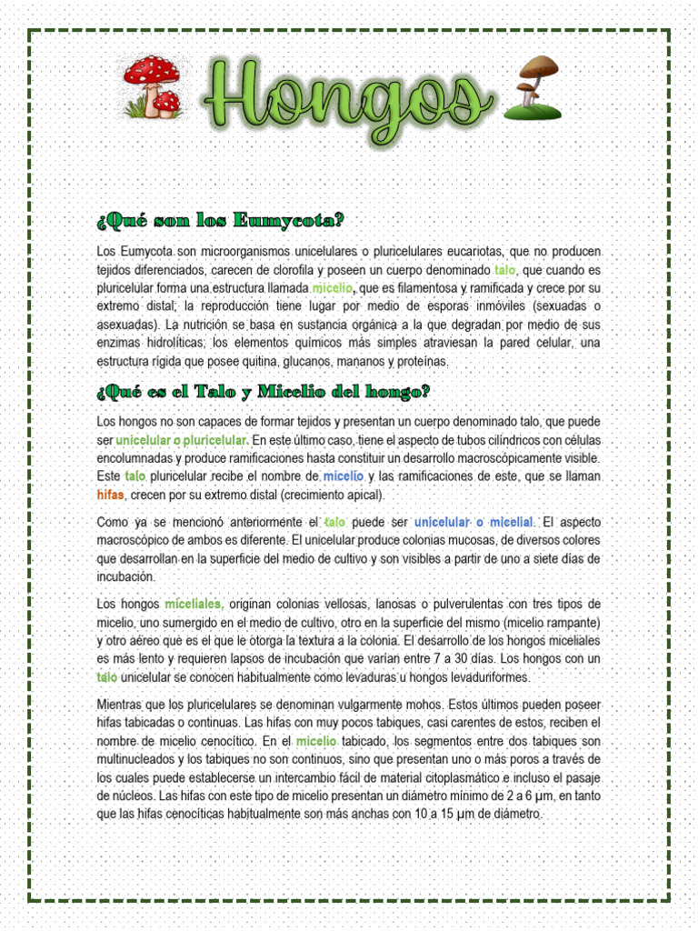 MORFOLOGÍA DE LOS HONGOS | PDF | Hongo | Biología Celular)