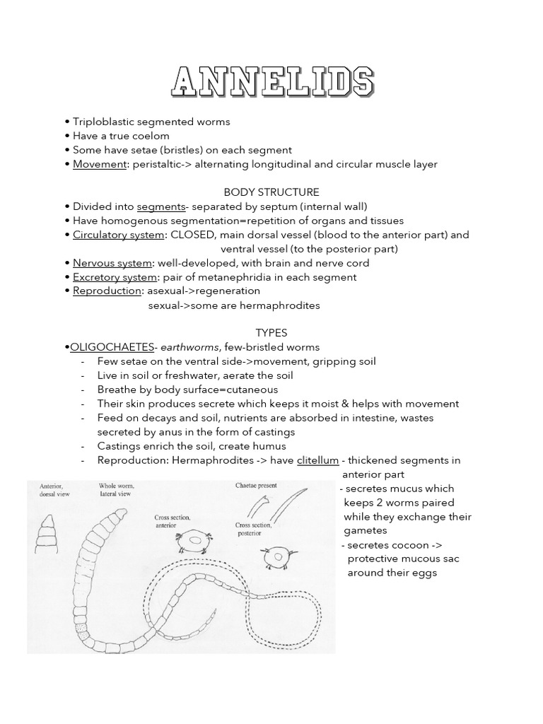 ANNELIDS | PDF