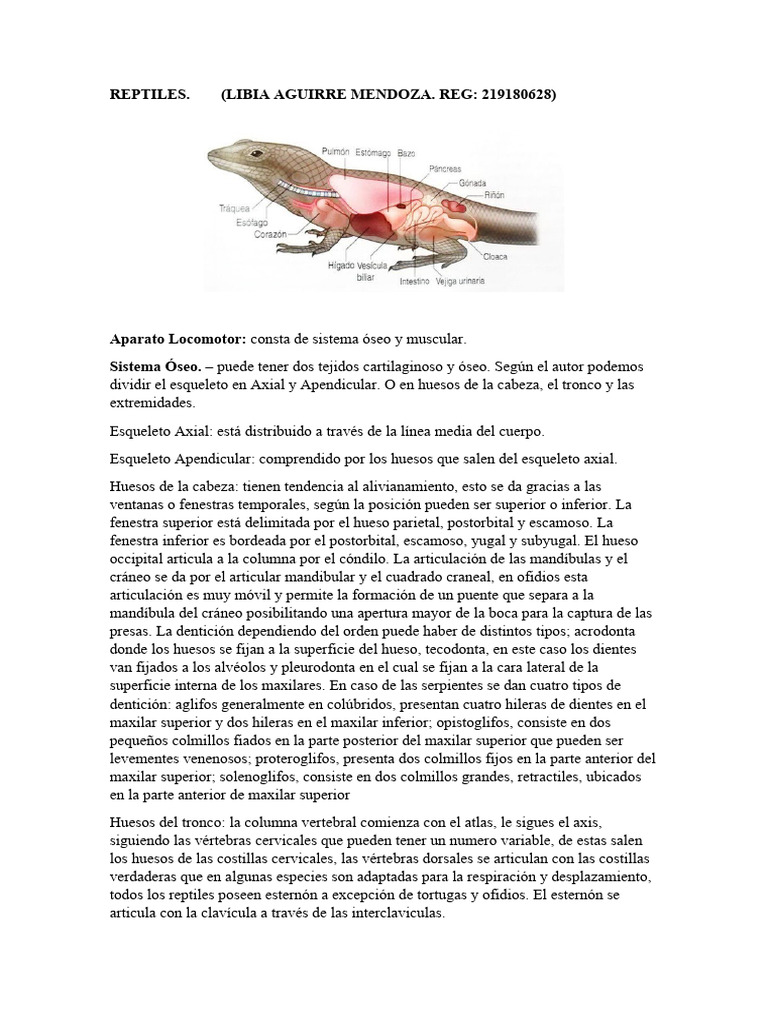 Anatomía y Fisiología de Reptiles | PDF | Esqueleto | Cráneo