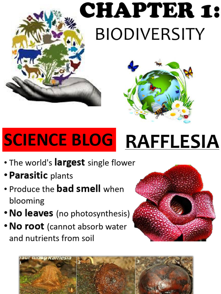 C1F2 - Biodiversity | PDF | Biodiversity | Plants