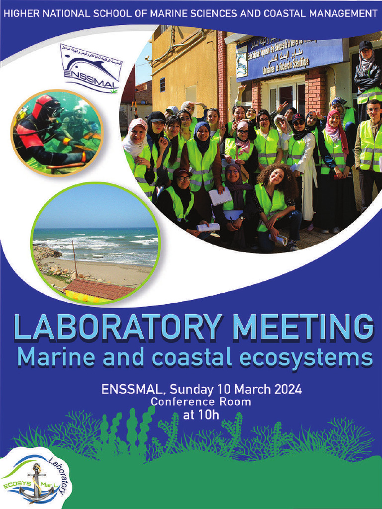 Laboratory Meeting | PDF