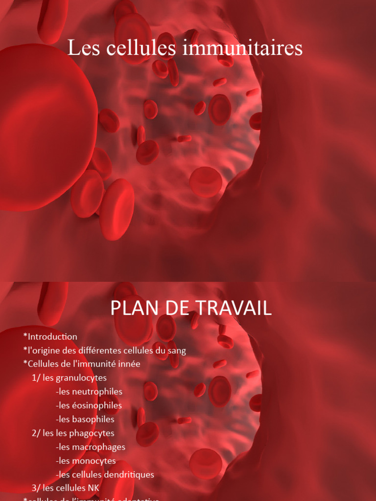 Les Cellules Immunitaires | PDF | Globule blanc | Système immunitaire