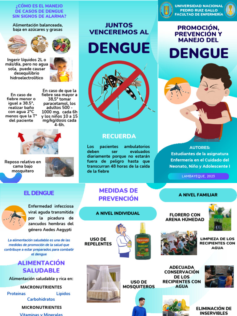 Triptico Informativo Dengue | PDF | Salud pública | Medicina CLINICA