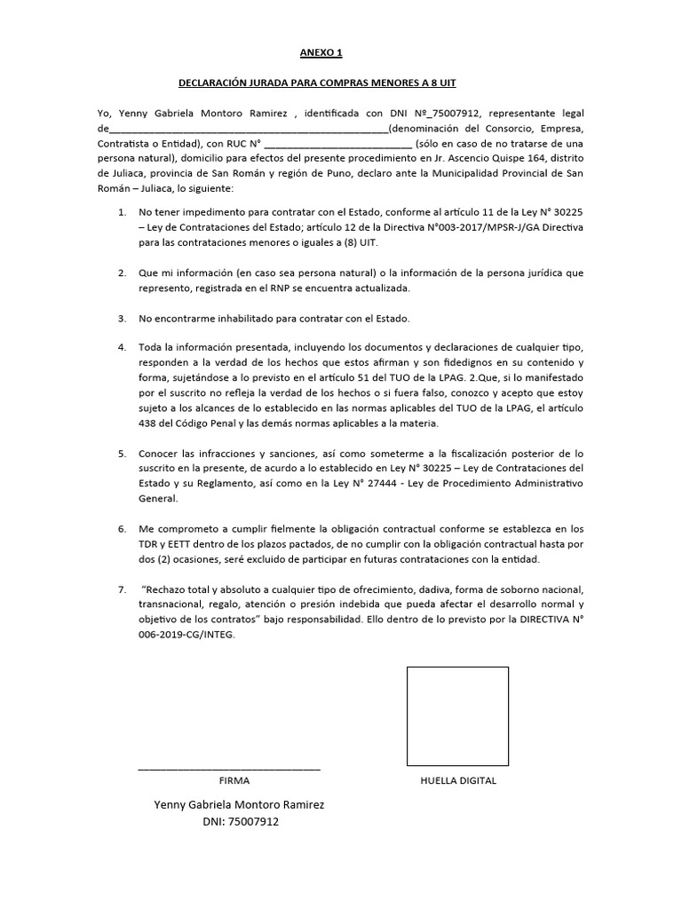 DECLARACION JURADA Anexo I. | PDF | Gobierno | Justicia