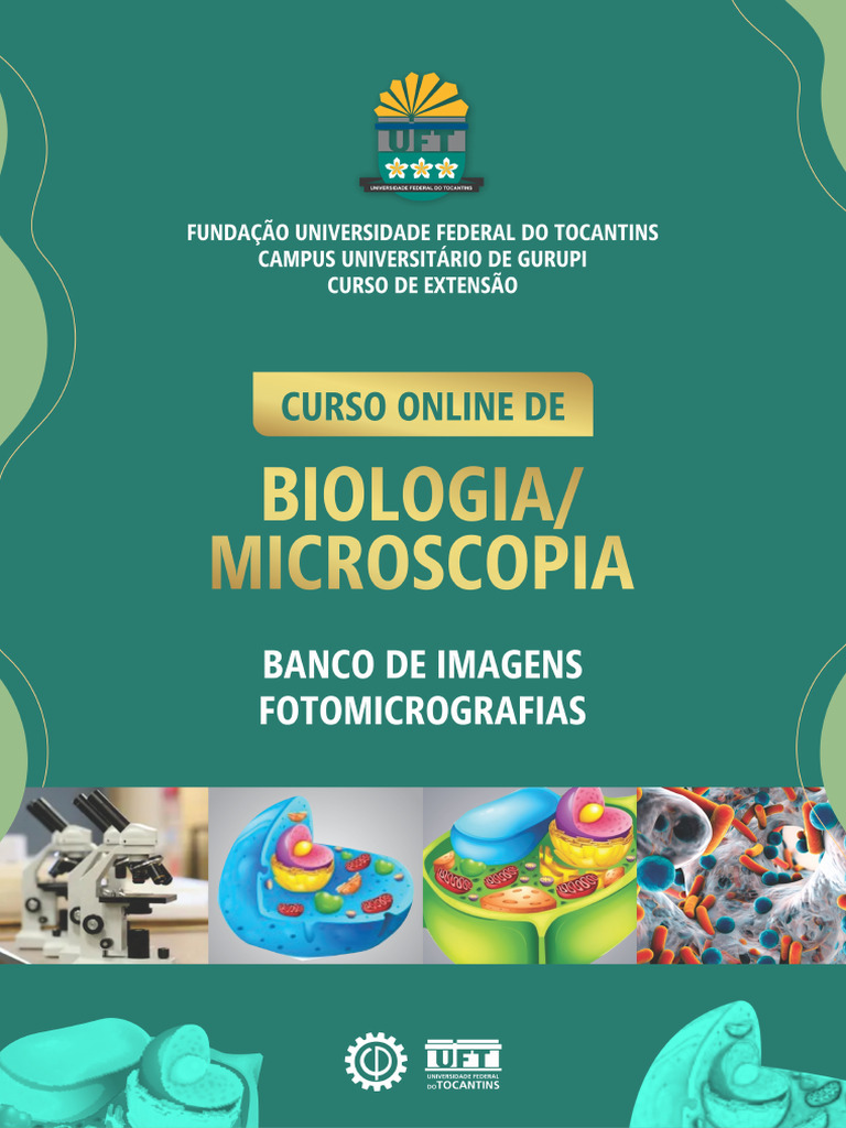 Banco de Imagens Micros | PDF