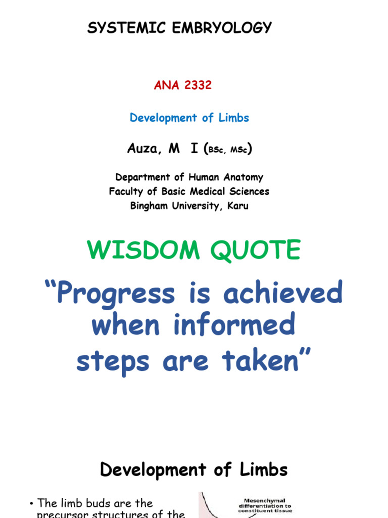 Development of Limbs | PDF | Bone | Limbs (Anatomy)