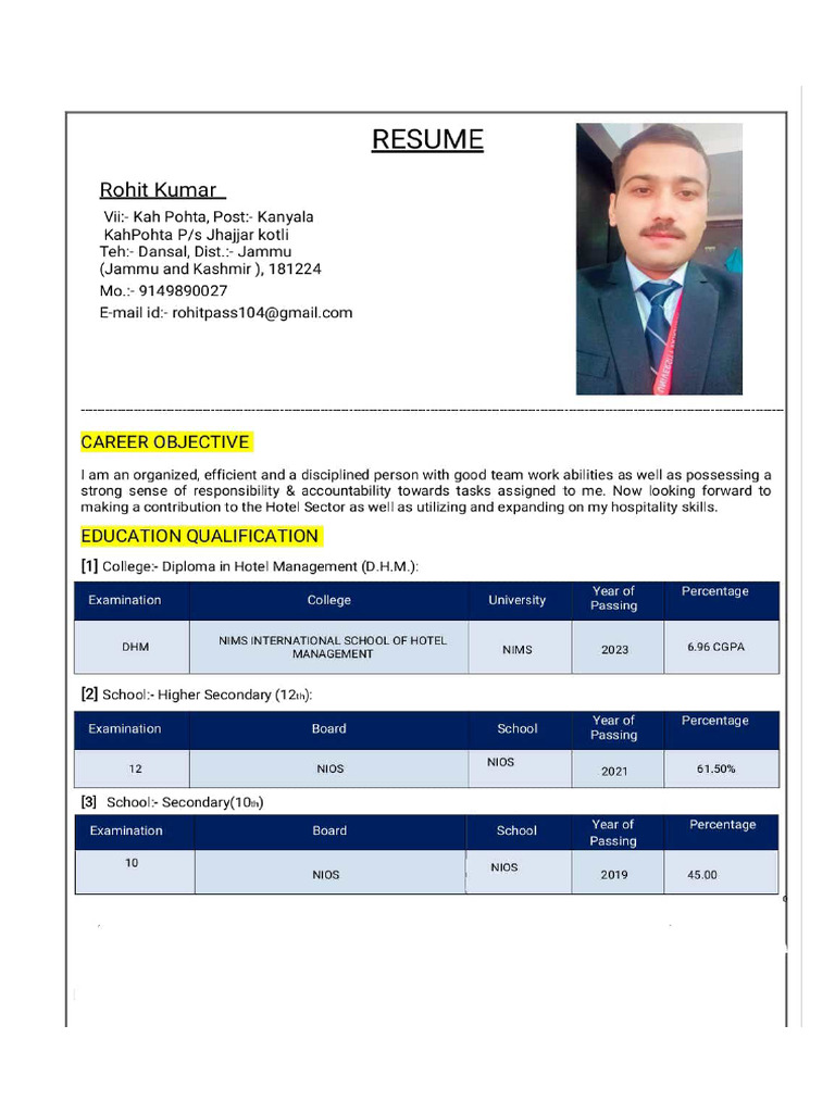 Rohit Kumar CV 1 | PDF