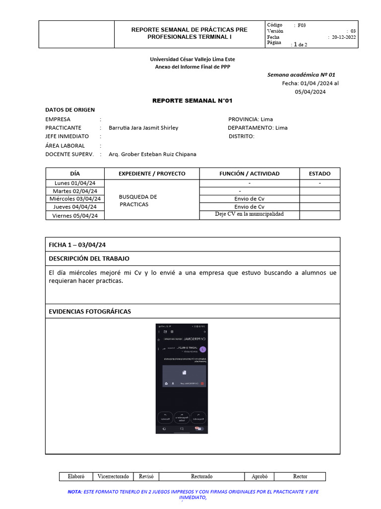Formato 03 - Reporte Semanal 01 - Alumna Bardales Abal K. Estefani | PDF
