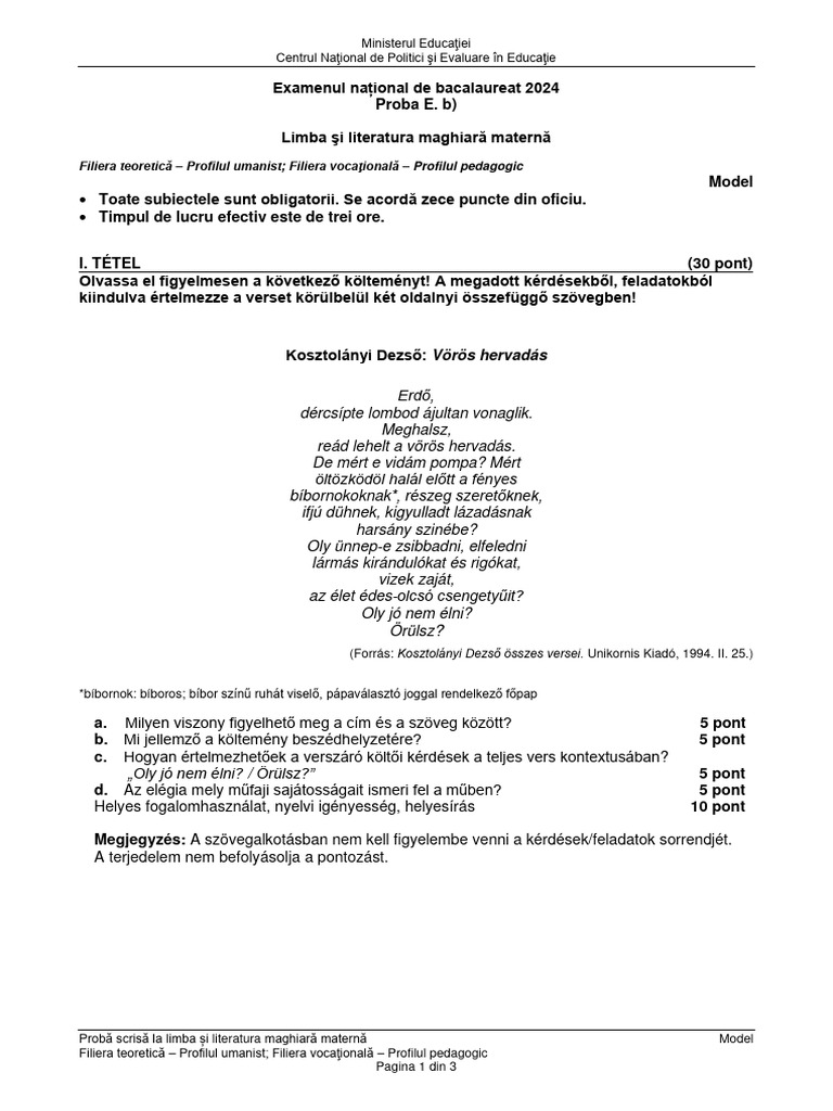 E b Limba Maghiara Materna Uman Ped 2024 Var Model | PDF