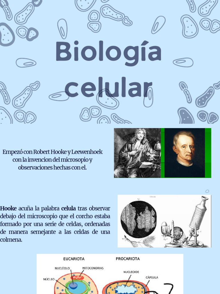 Bio Celular, Maggie) | PDF | Biología Celular) | Membrana celular