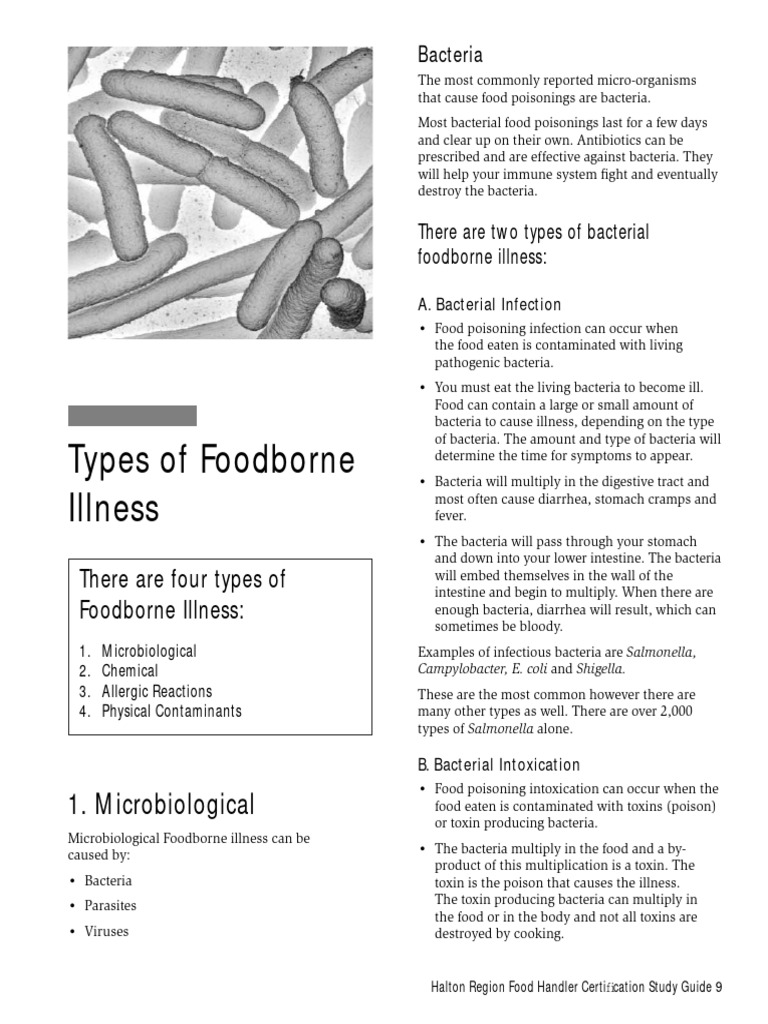 Unit 1 - Activity 6 - Biological, Chemical, Physical Food Borne Illness Reading | PDF ...