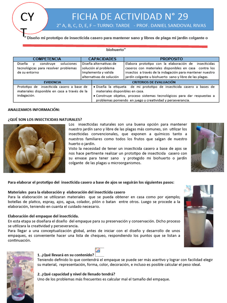 Actividad 30 | PDF | Creatividad | Diseño