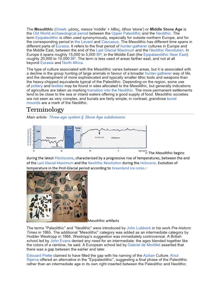 Understanding the Mesolithic Era | PDF | Stone Age | Holocene