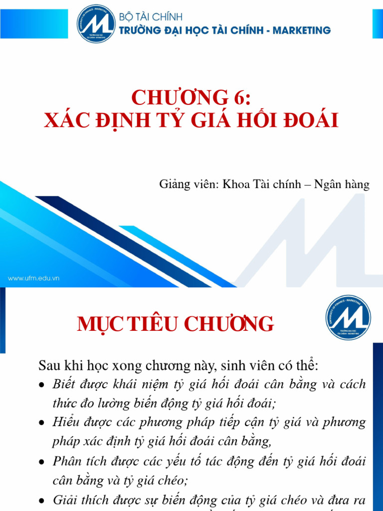 Bai 6 - Xac Dinh Ty Gia Hoi Doai | PDF