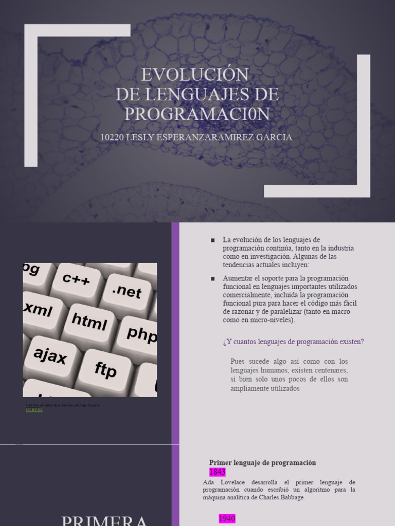 T105evolucion de Lenguajes de Programacion | PDF | Programación de ...