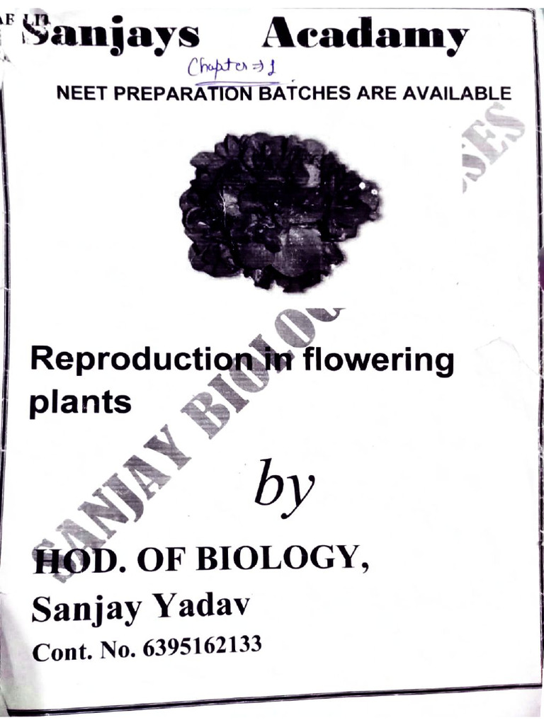 Flowering Plant Biology (Hod Notes) | PDF