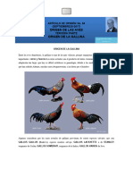 Origen y Historia Del Pollo | PDF | Pollo | Aves