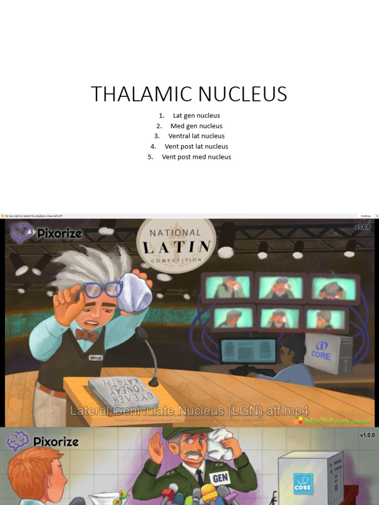 THALAMIC NUCLEUS | PDF