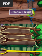 Biochemistry (Pixorize) | PDF