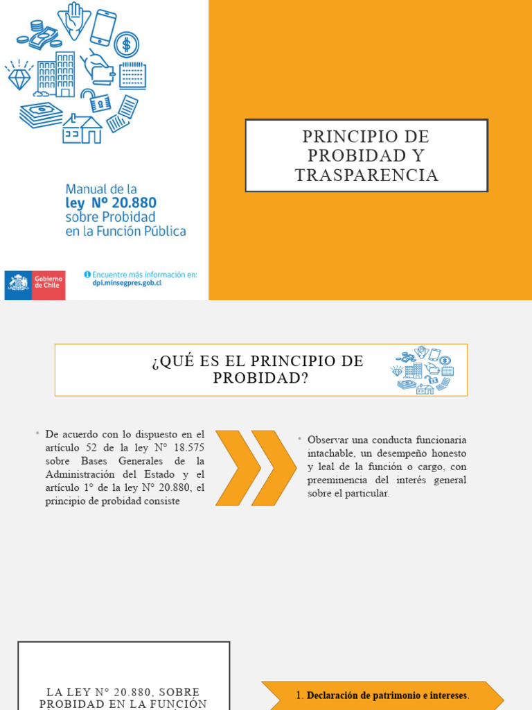 Probidad y Transparencia en Función Pública | PDF | Gobernancia | Justicia