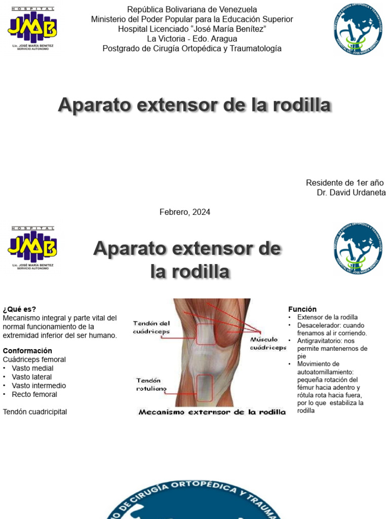 Aparato Extensor de La Rodilla | PDF