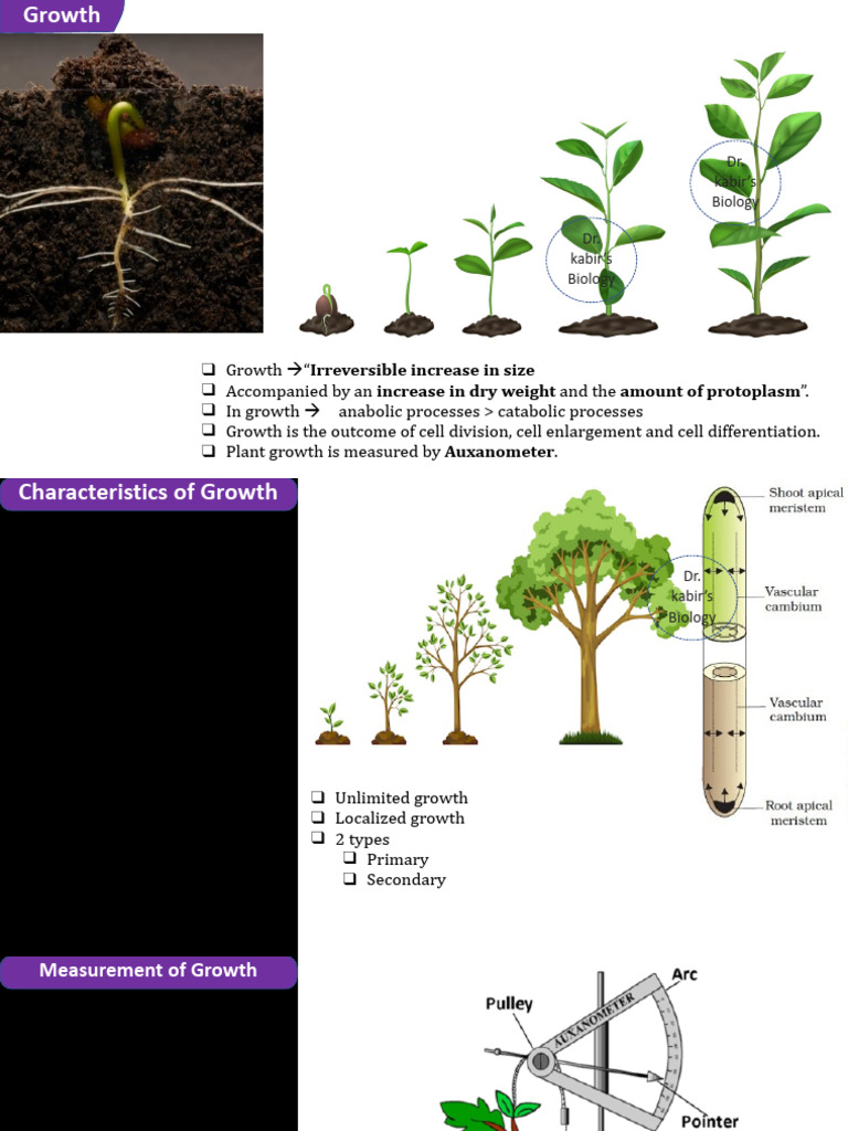 Owth and Growth Hormone | PDF | Auxin | Plant Hormone
