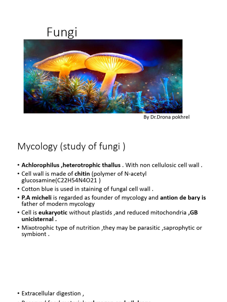 Fungi Note | Download Free PDF | Fungus | Sexual Reproduction