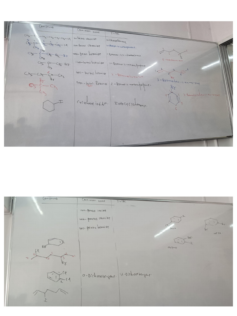 Halogen Derivatives Notes | PDF