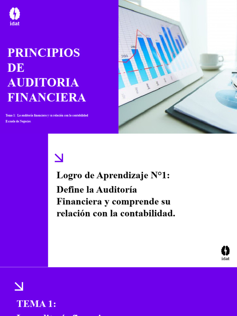 Tema 1 - Principios de Auditoria Financiera | PDF | Auditoría | Auditoría financiera