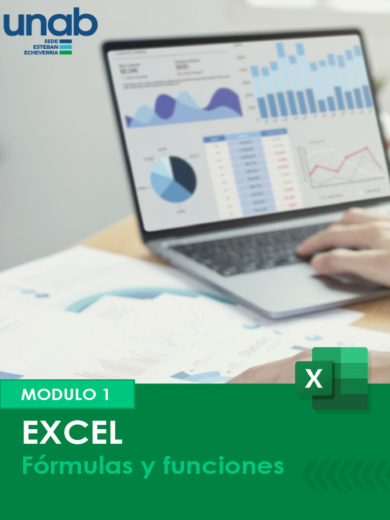 Modulo 1 EXCEL | PDF | Argumento | Microsoft Excel