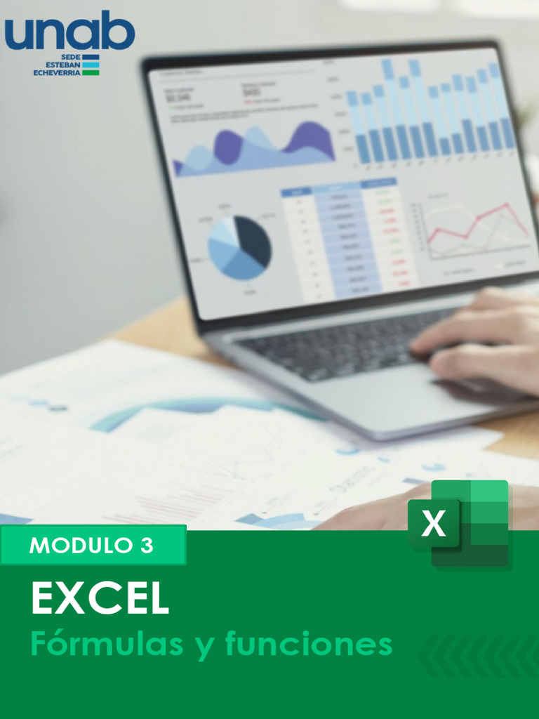 Modulo 3 EXCEL | PDF | Función (Matemáticas) | Microsoft Excel