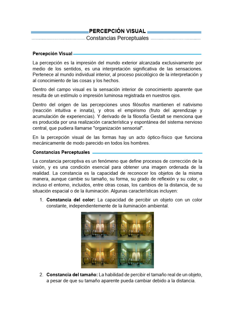 Percepción visual | PDF | Percepción | Percepción visual