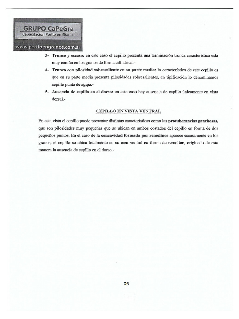 6 Tipificacion | PDF
