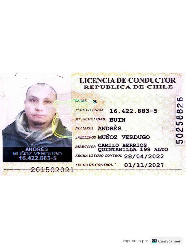 3 - Licencia Municipal | PDF