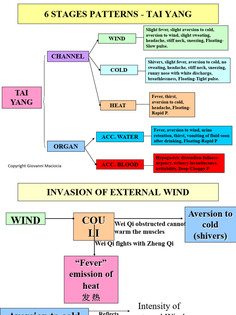 Tai Yang The 6 Stages Patterns Sample | PDF | Fever | Headache