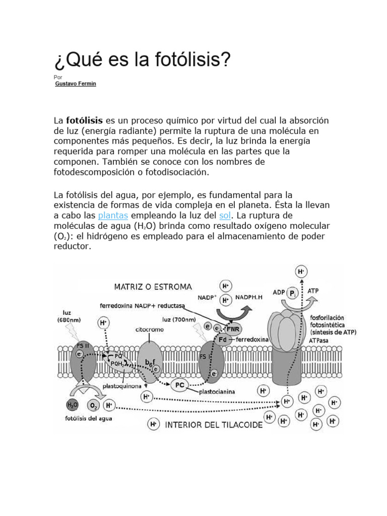 Fotólisis del agua y su importancia | PDF | Fotosíntesis | Química