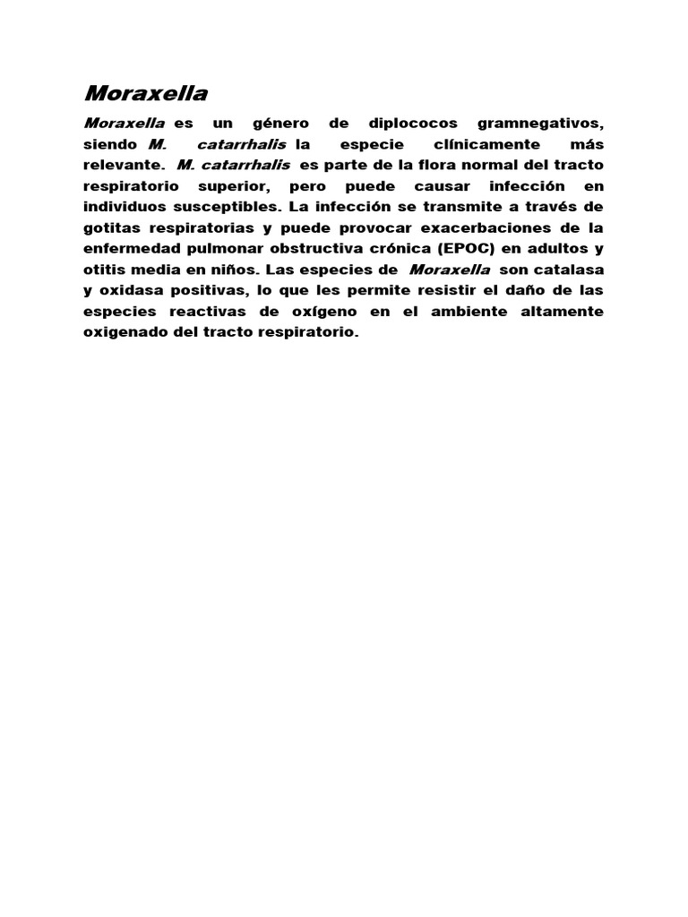 Moraxella: Infecciones y características | PDF | Bacterias Gram ...