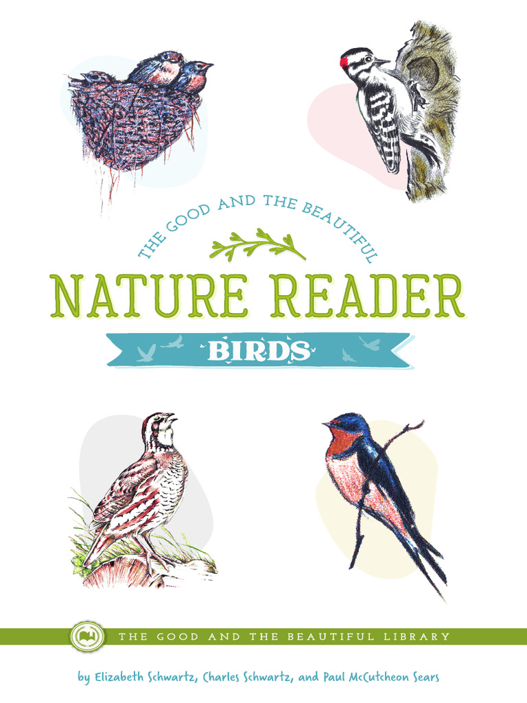 Nature Reader Birds - Website Sample | PDF | Birds | Zoology