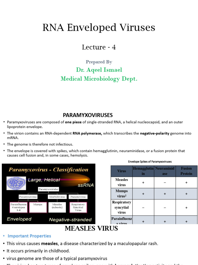 4 - Clinical Virology - RNA Enveloped Viruses - Lecture - 5 | PDF | Measles | Virus