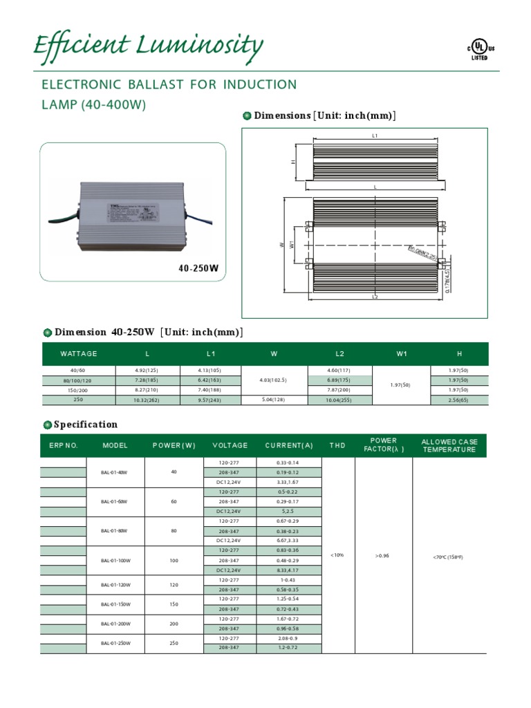 Induction Lamp Electronic Ballast Specs | PDF | Computers