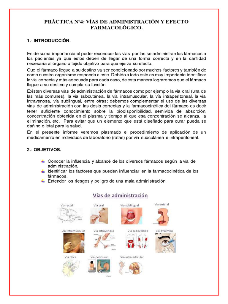 Informe4 farmacología vía subcutánea e intraperitoneal | PDF ...