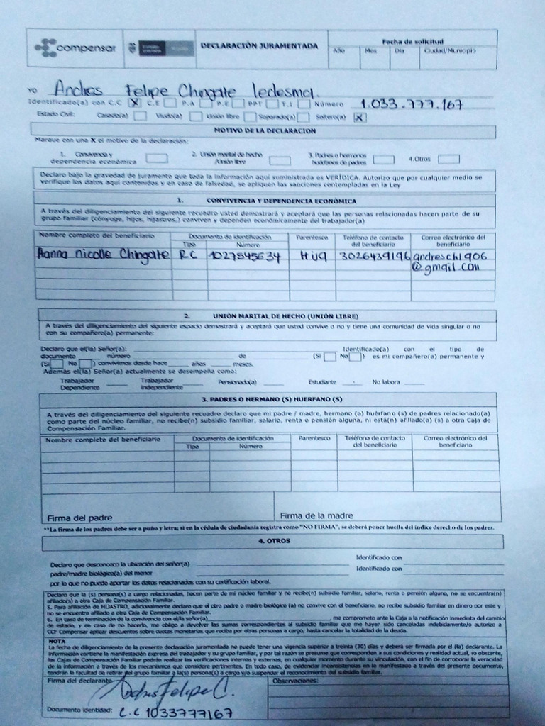 Carta Juramentada Hanna Nicolle Chingate | PDF