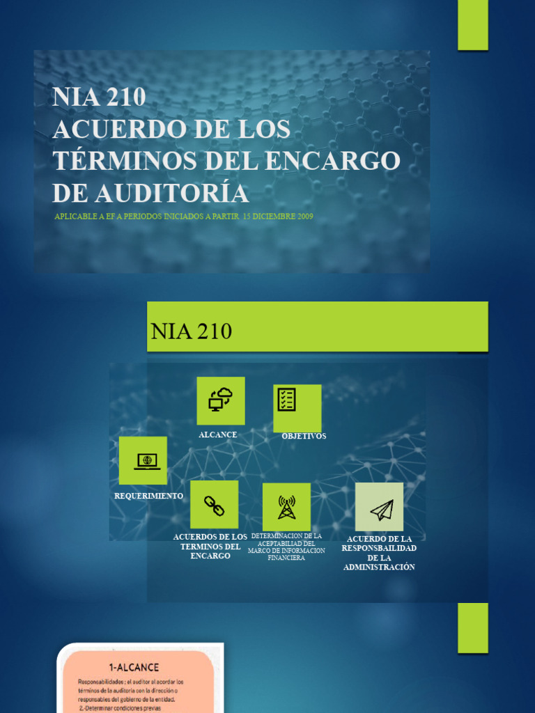 NIA 210 Acuerdo de Los Terminos 2 | PDF