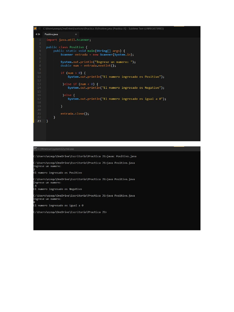 Tarea Software Java 070424 - Ezequiel Flick | PDF