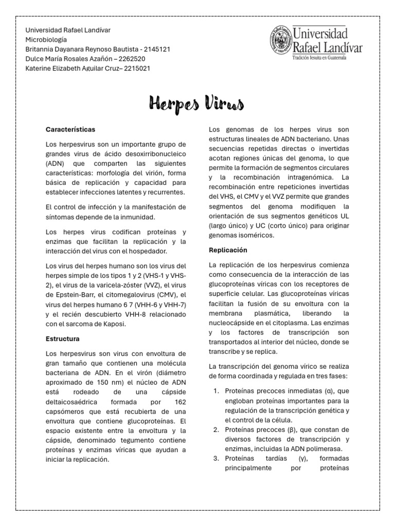 Características y Replicación de Herpesvirus | PDF | Virus | Infección