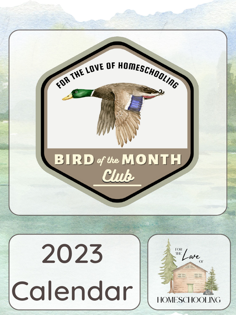 Bird of The Month 2023 Calendar | PDF | Ornithology | Birds