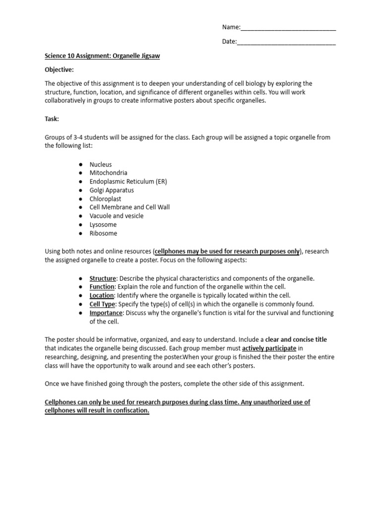 Organelle Jigsaw Assignment | PDF | Organelle | Cell (Biology)