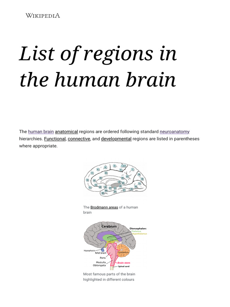 List of Regions in the Human Brain - Wikipedia | PDF | Limbic System ...