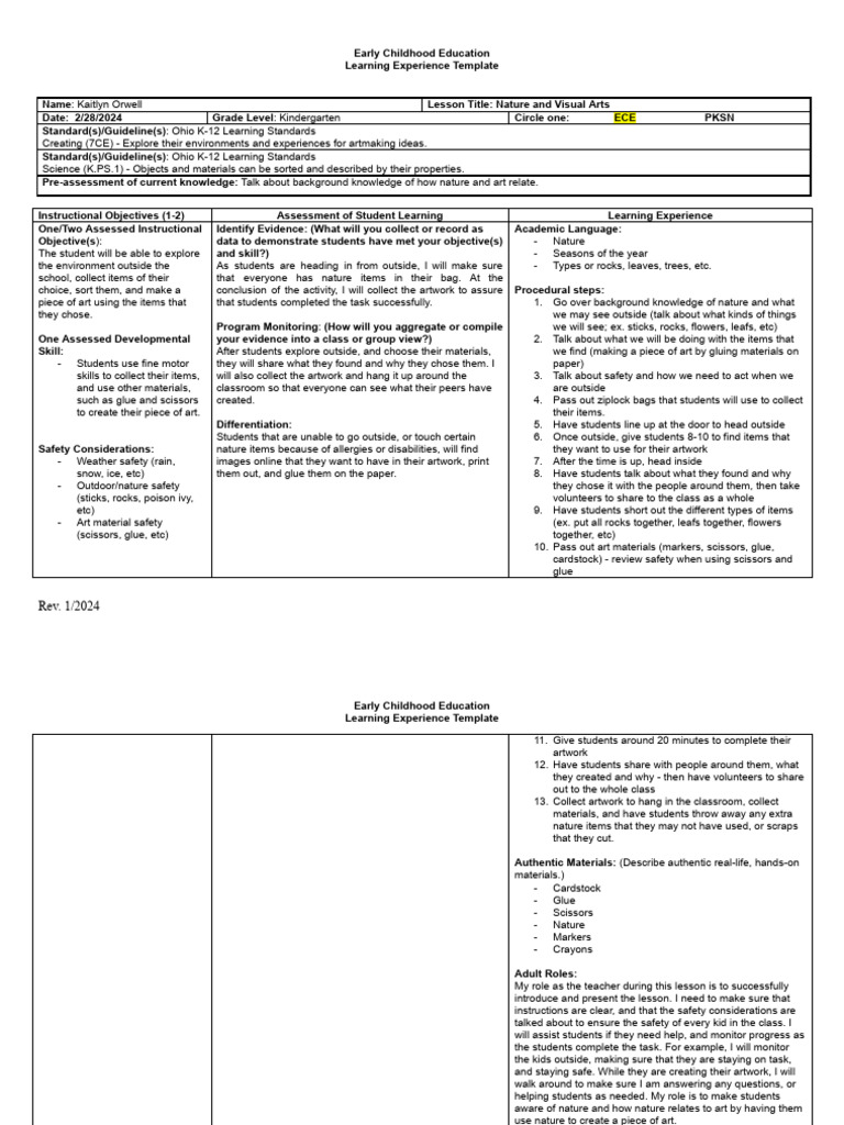 Visual Art Lesson Plan | PDF | Experience | Early Childhood Education